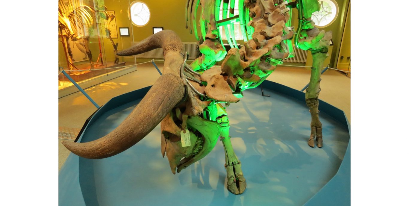 Lunds historiska museum, del 2 - Skillingaryd