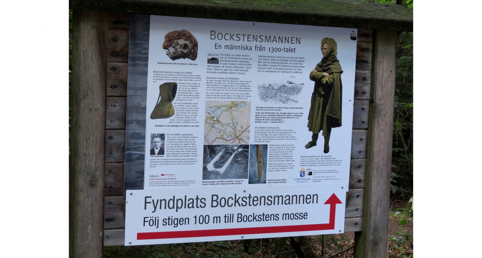 Bockstens mosse, Bockstensmannen och Thure Johansson - Skillingaryd