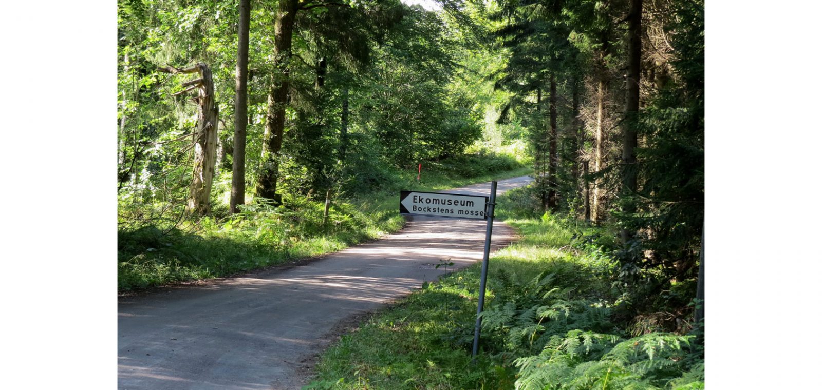 Bockstens mosse, Bockstensmannen och Thure Johansson - Skillingaryd