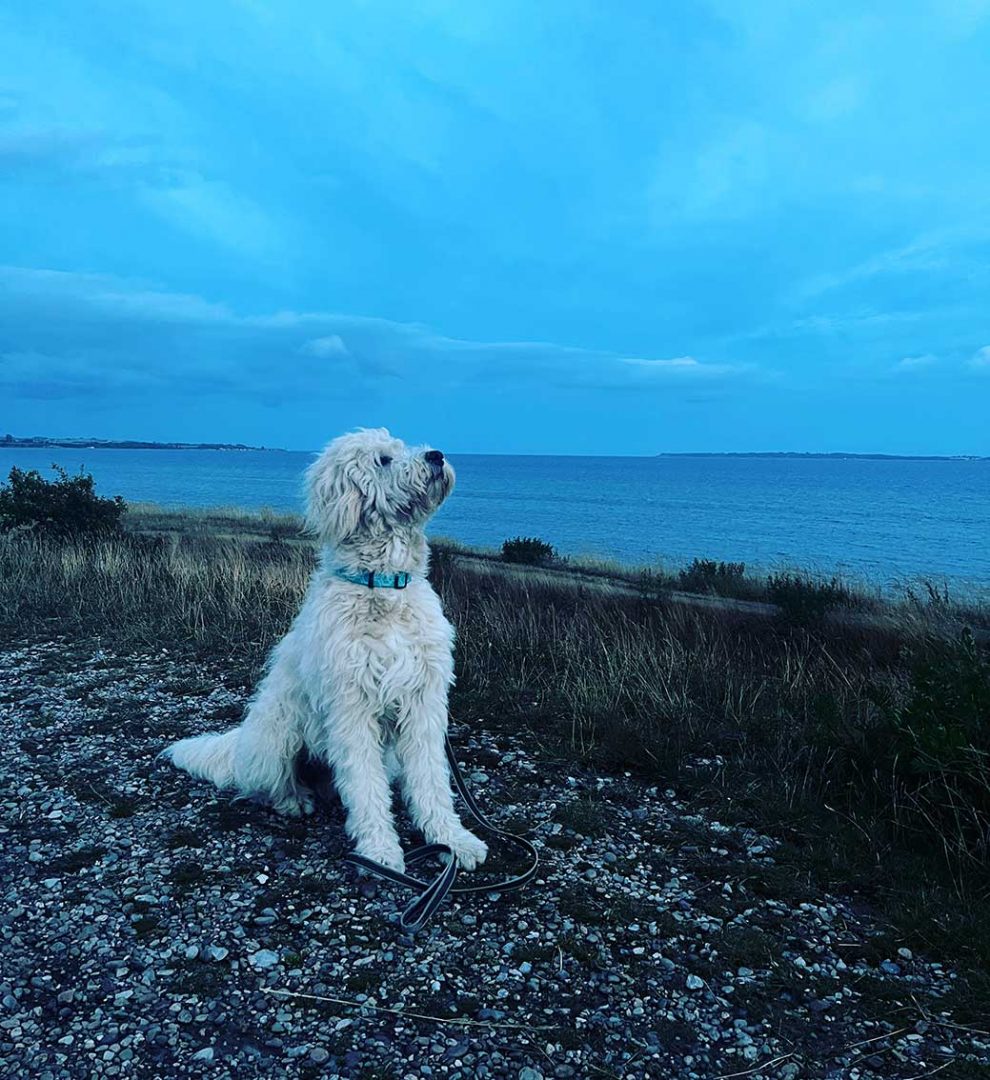 Sommarbilder 1–6 - Skillingaryd