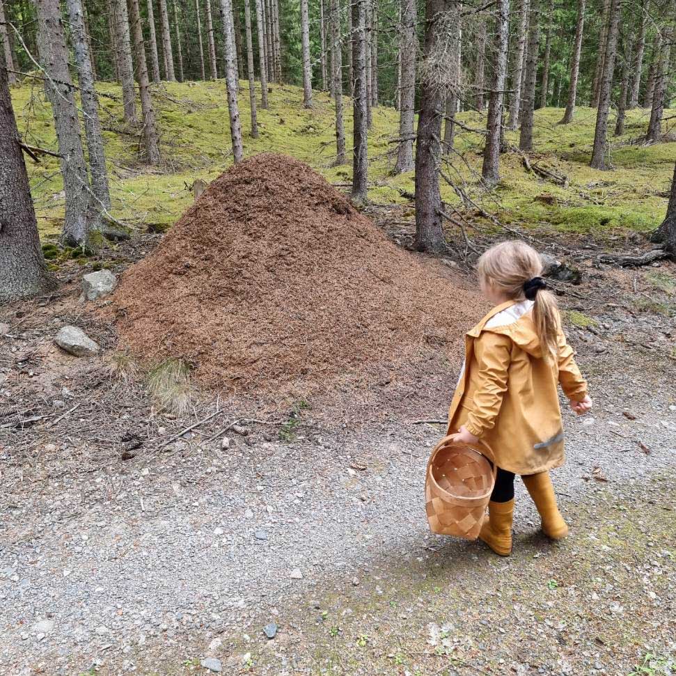 Sommarbilder 281–290 - Skillingaryd