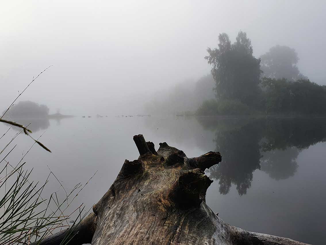 Sommarbilder 281–290 - Skillingaryd