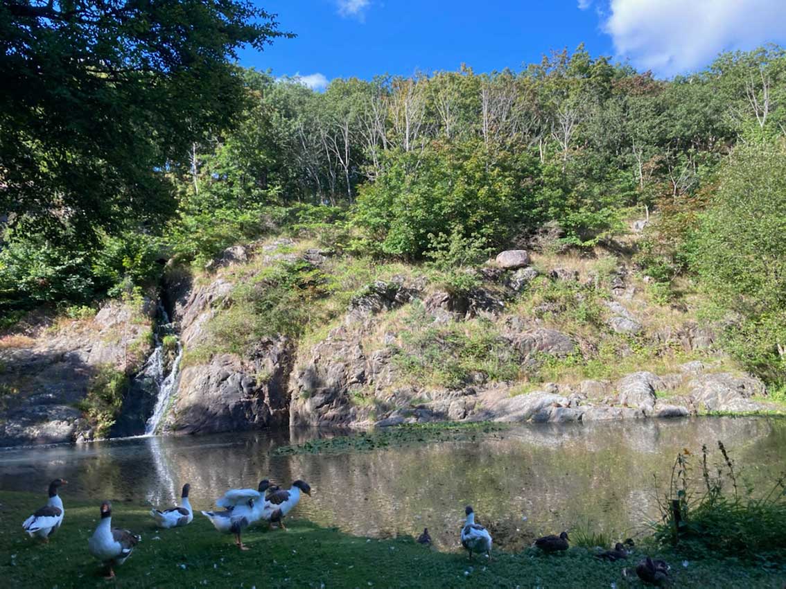 Sommarbilder 321–330 - Skillingaryd