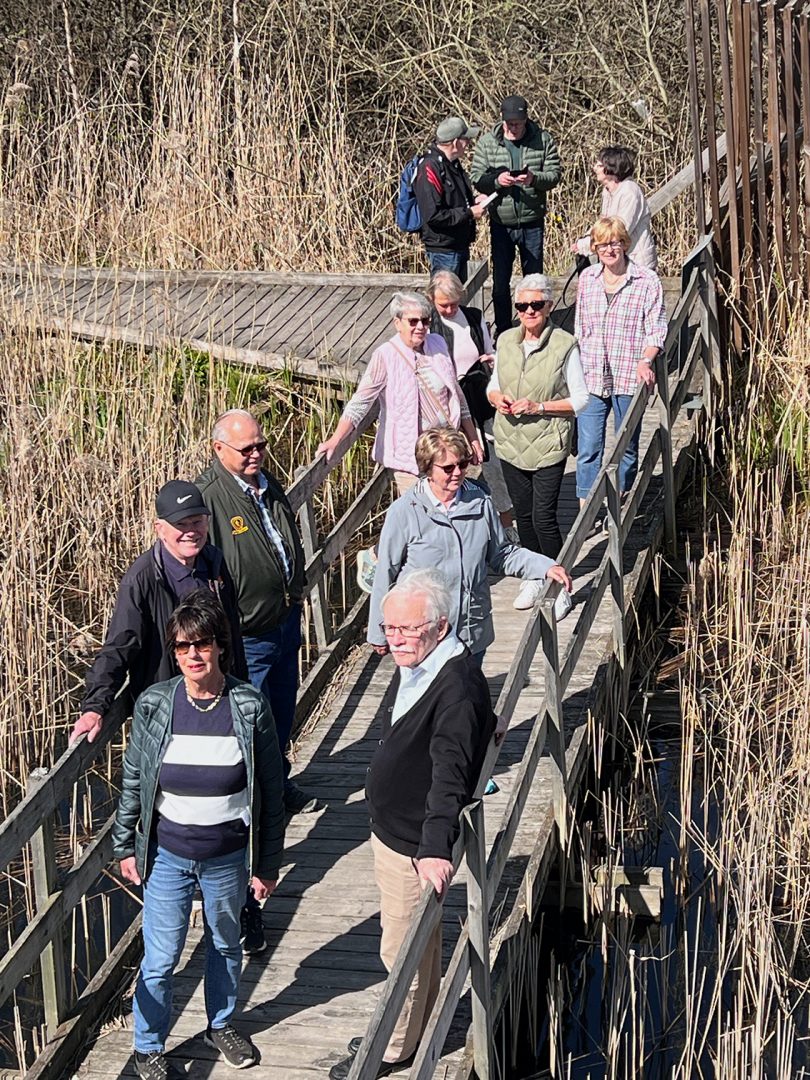 Trivsam promenad med seniorerna - Skillingaryd