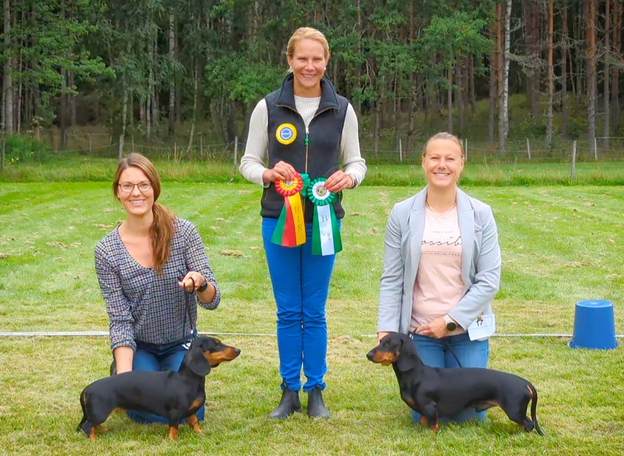 100 taxar i utställning på Attila - Skillingaryd