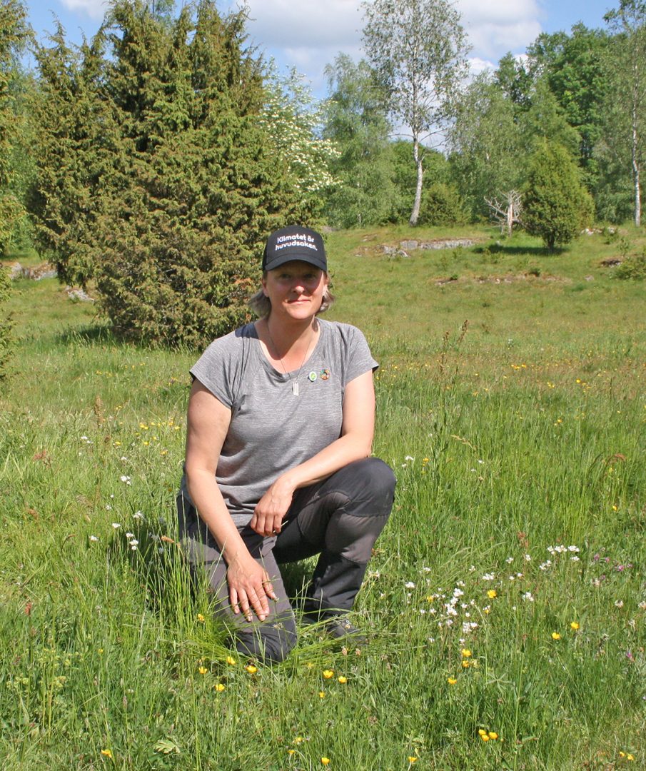 Miljöpartiet belyser biologisk mångfald - Skillingaryd