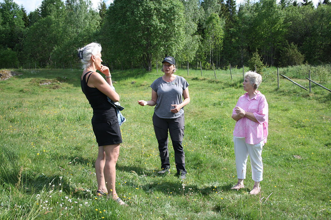 Miljöpartiet belyser biologisk mångfald - Skillingaryd