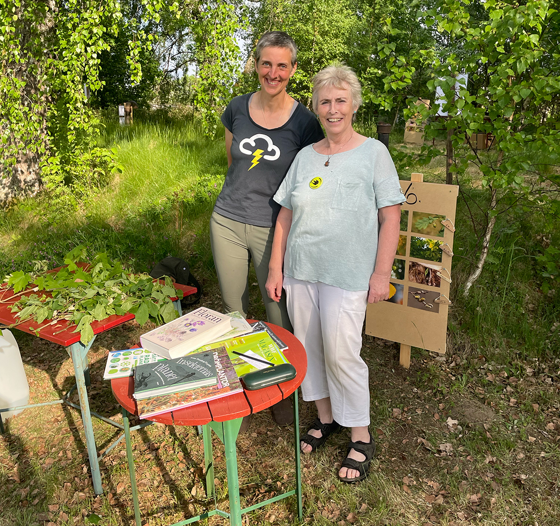 Vildare trädgård - Skillingaryd