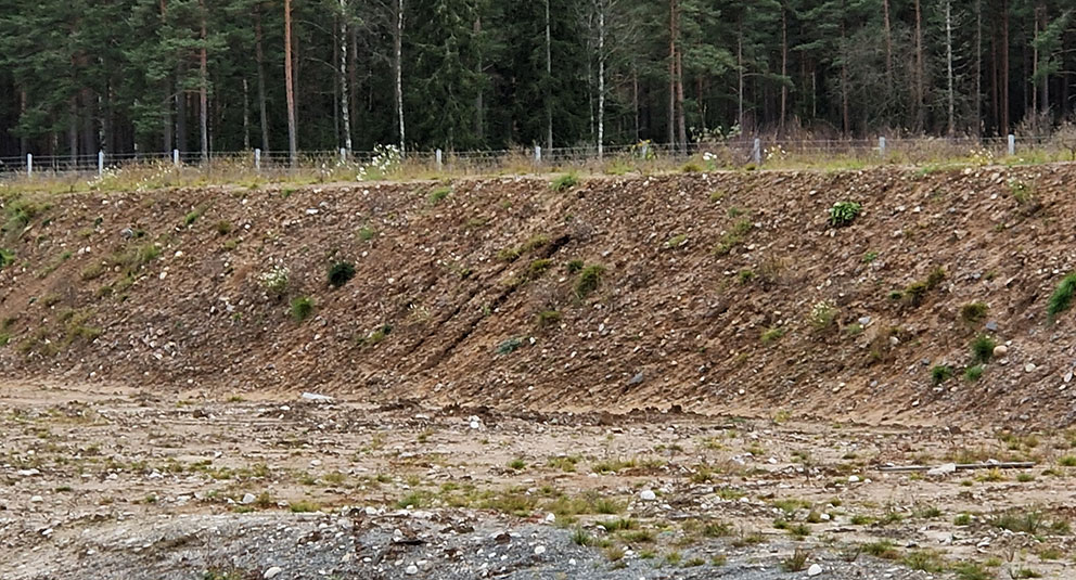 Dyr vall i Vaggeryd - Skillingaryd