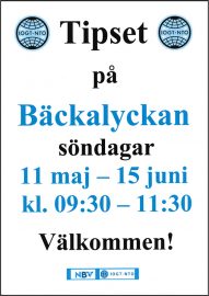 Personbevis kan hämtas via skatteverkets webbplats - Skillingaryd